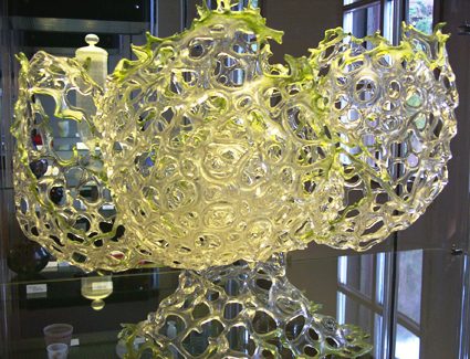 Informationen für die Vera Liskova: „Meeresblüte“ - Glasmuseum Wertheim ...